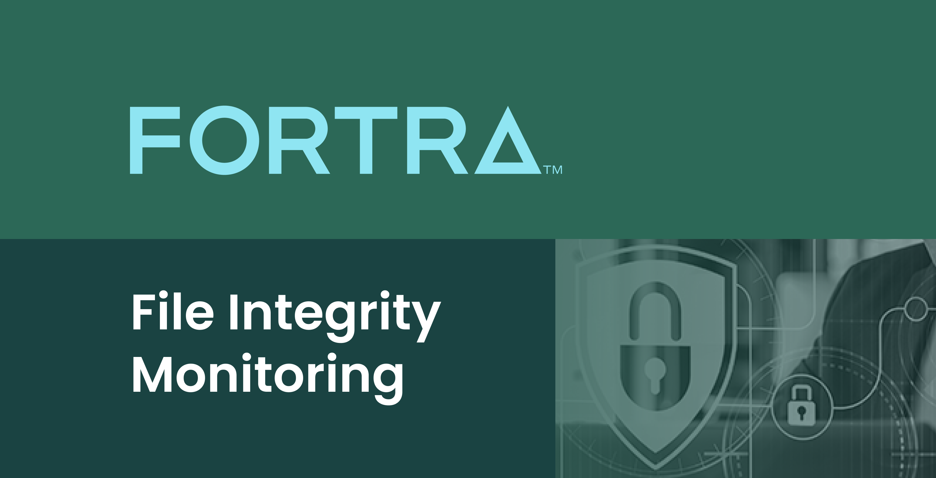 ITZONE - FIM (File Integrity Monitoring) гэж юу вэ?